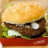 Unveiling the McDonald's Burger Production Process: A Factory Tour ...